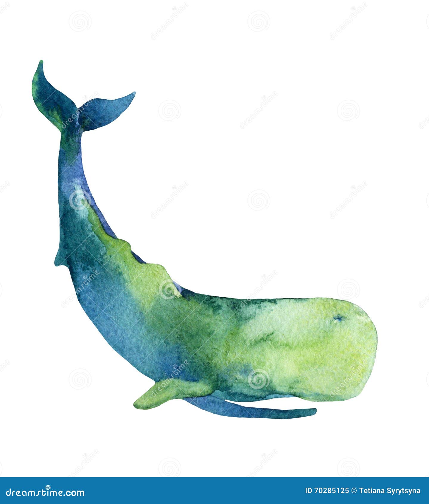 Sperm Whale Illustration, Drawing, Engraving, Ink, Line Art, Vector ...