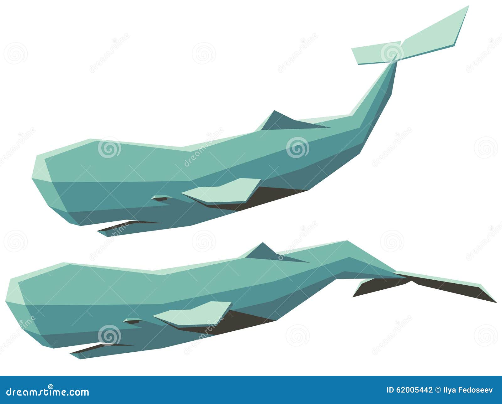 Sperm whale set stock vector. Illustration of atlantic - 62005442