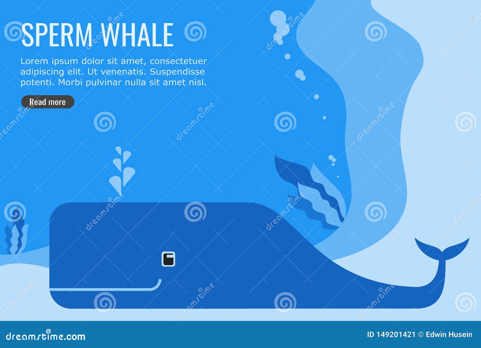 Sperm Whale Vector and Background Info-graphic Design Stock Vector ...