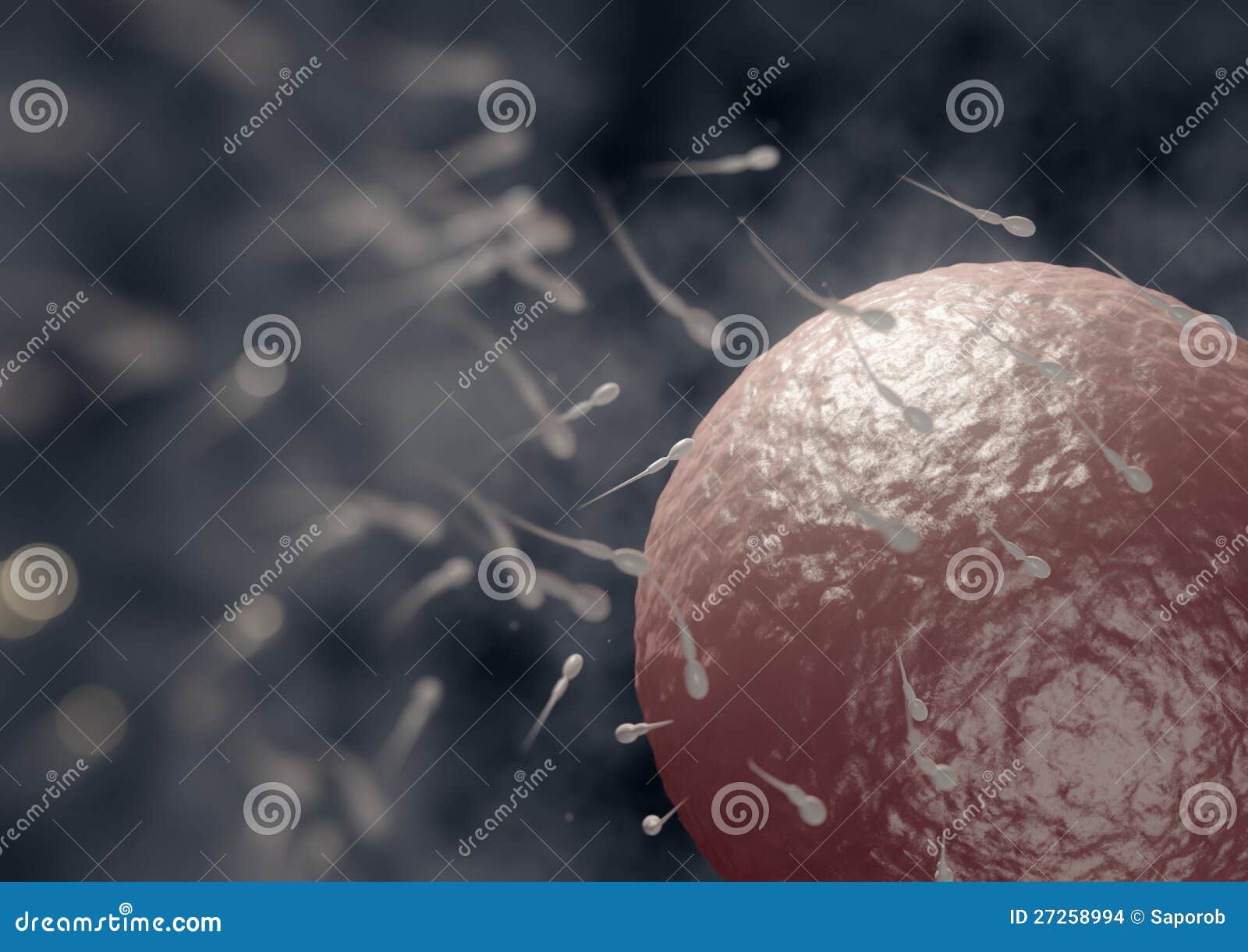 Spermatozoa stock illustration. Illustration of laboratory - 27258994