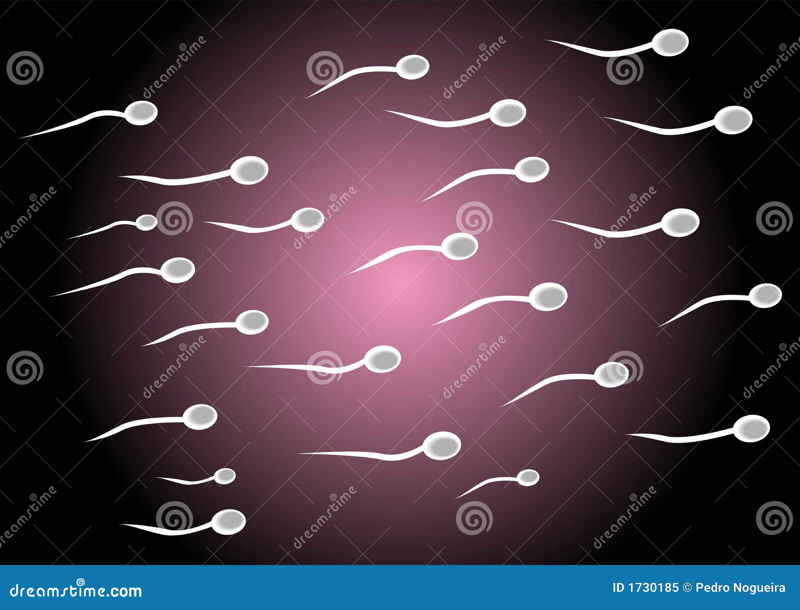 Spermatozoids stock vector. Illustration of sexuality - 1730185