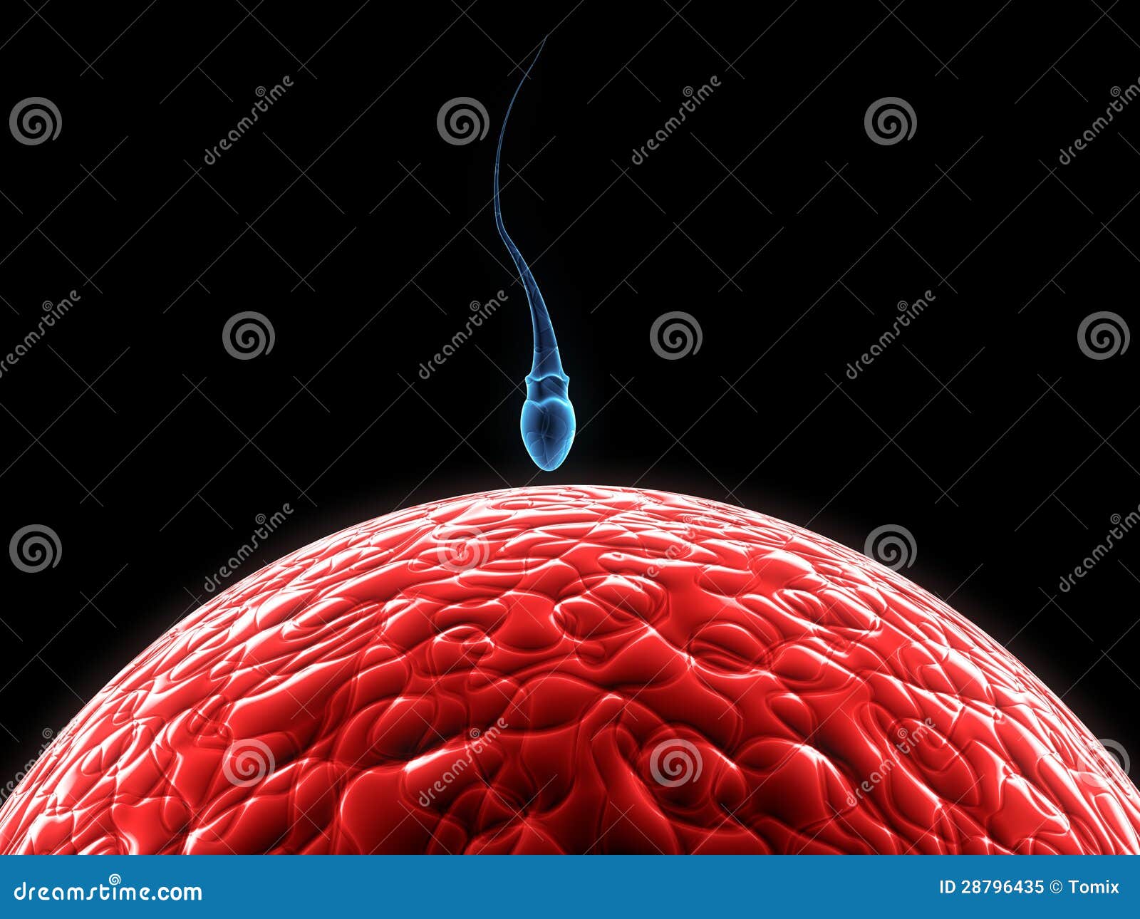 Ovule Cartoons, Illustrations & Vector Stock Images - 2087 Pictures to ...