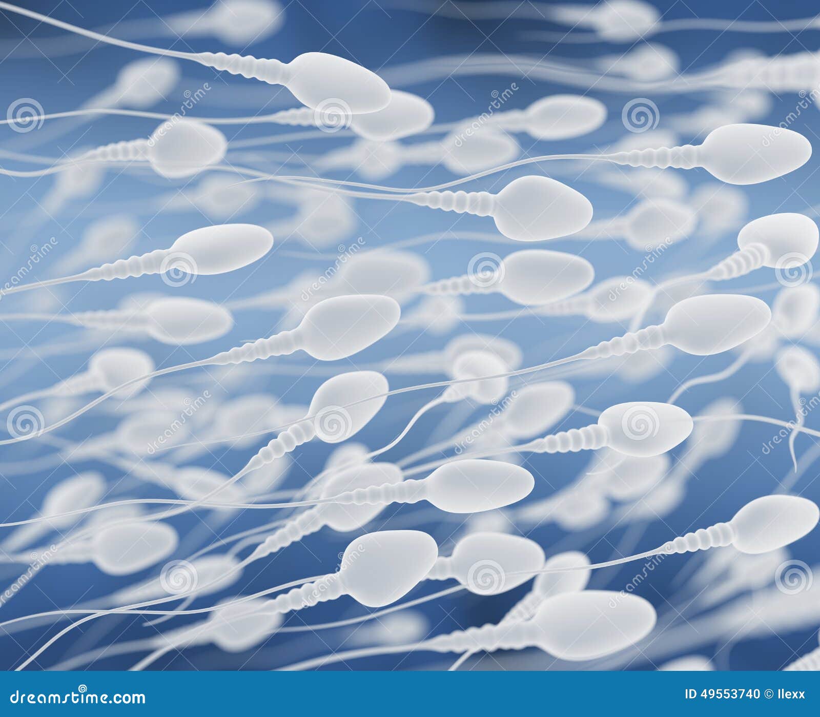 Spermatozoons stock illustration. Illustration of medicine - 49553740