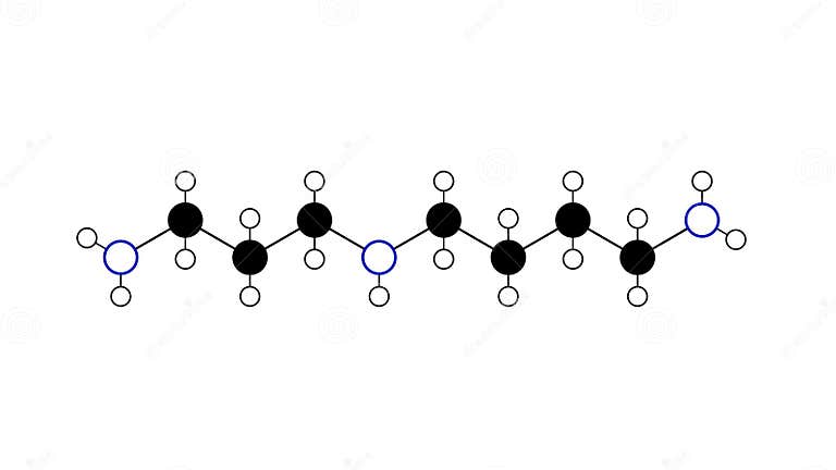 Spermidine Molecule, Structural Chemical Formula, Ball-and-stick Model ...