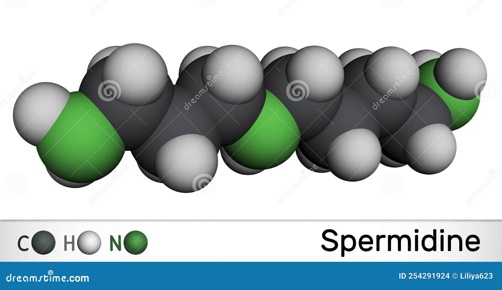 Spermidine Molecule. it is Triamine, Polyamine Formed from Putrescine ...