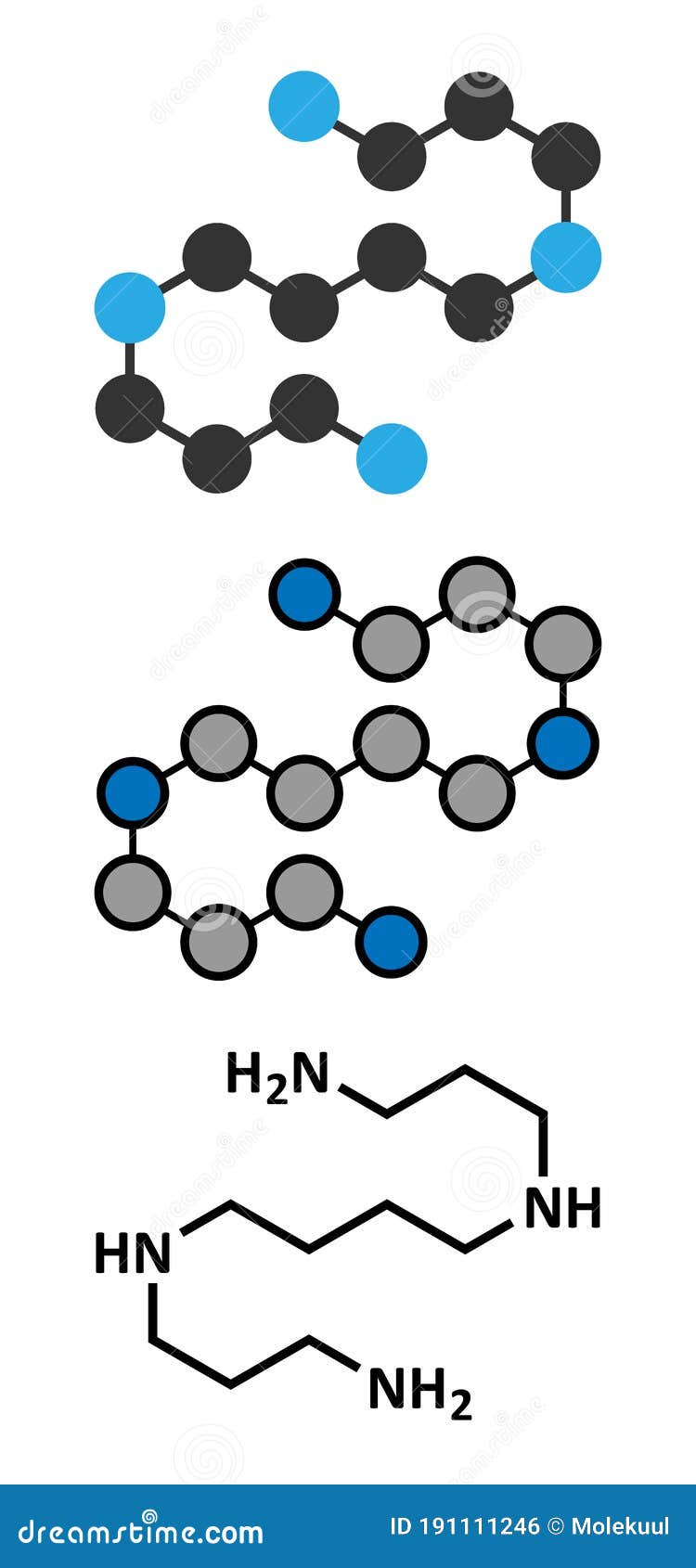 Spermine Molecular Structure, 3d Model Molecule, C10h26n4, Structural ...