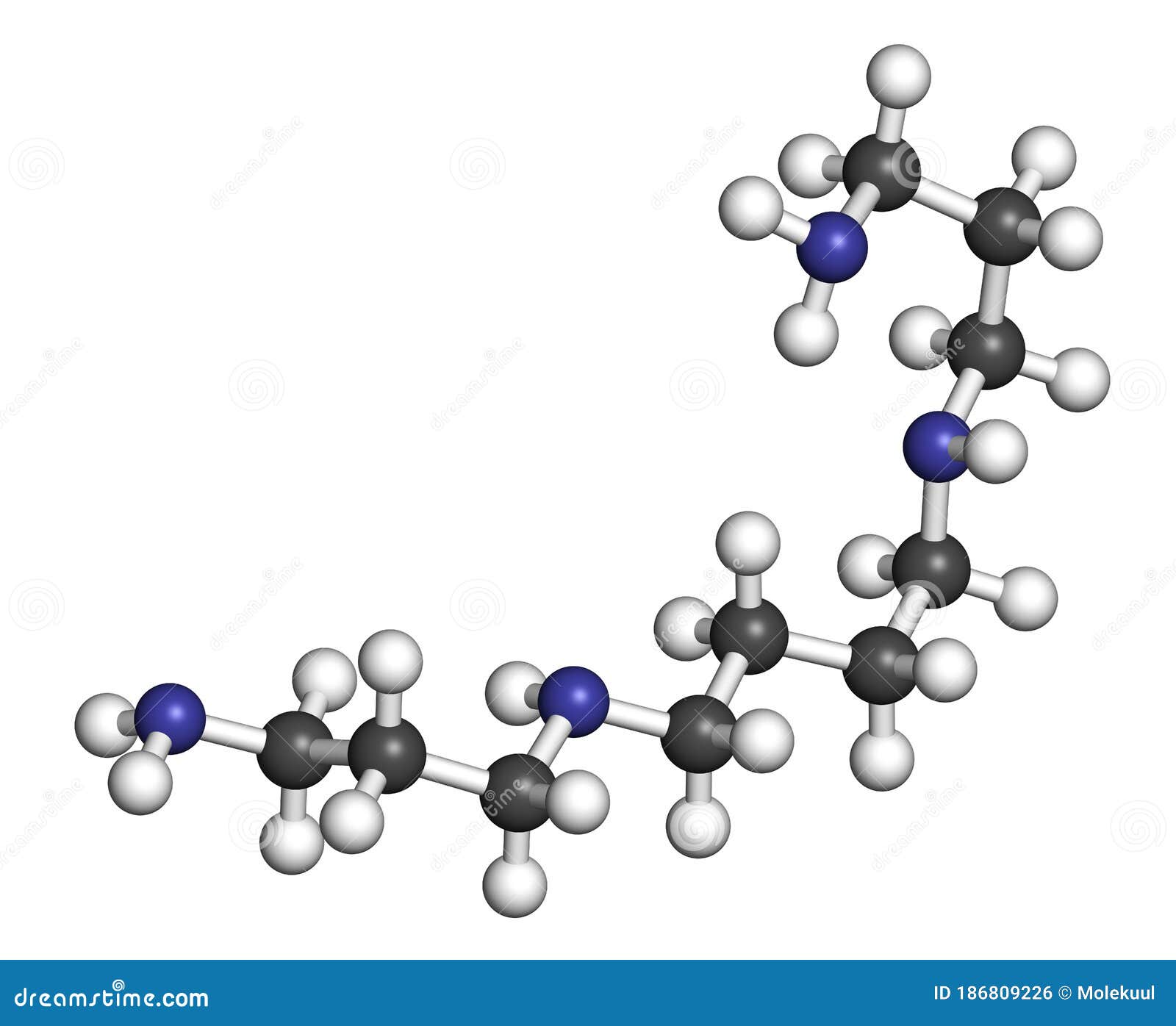 Spermine Molecular Structure, 3d Model Molecule, C10h26n4, Structural ...