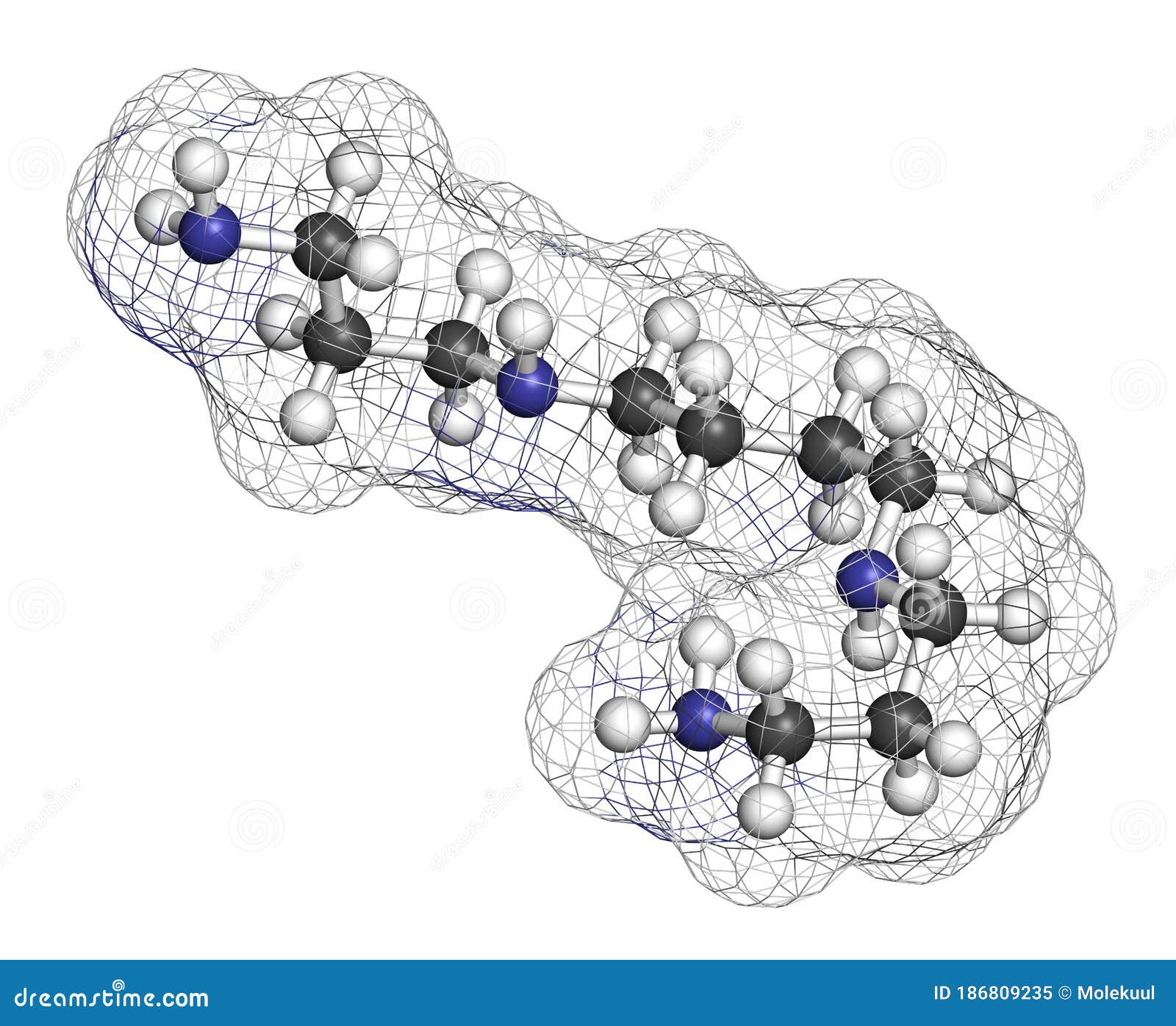 Spermine Molecular Structure, 3d Model Molecule, C10h26n4, Structural ...