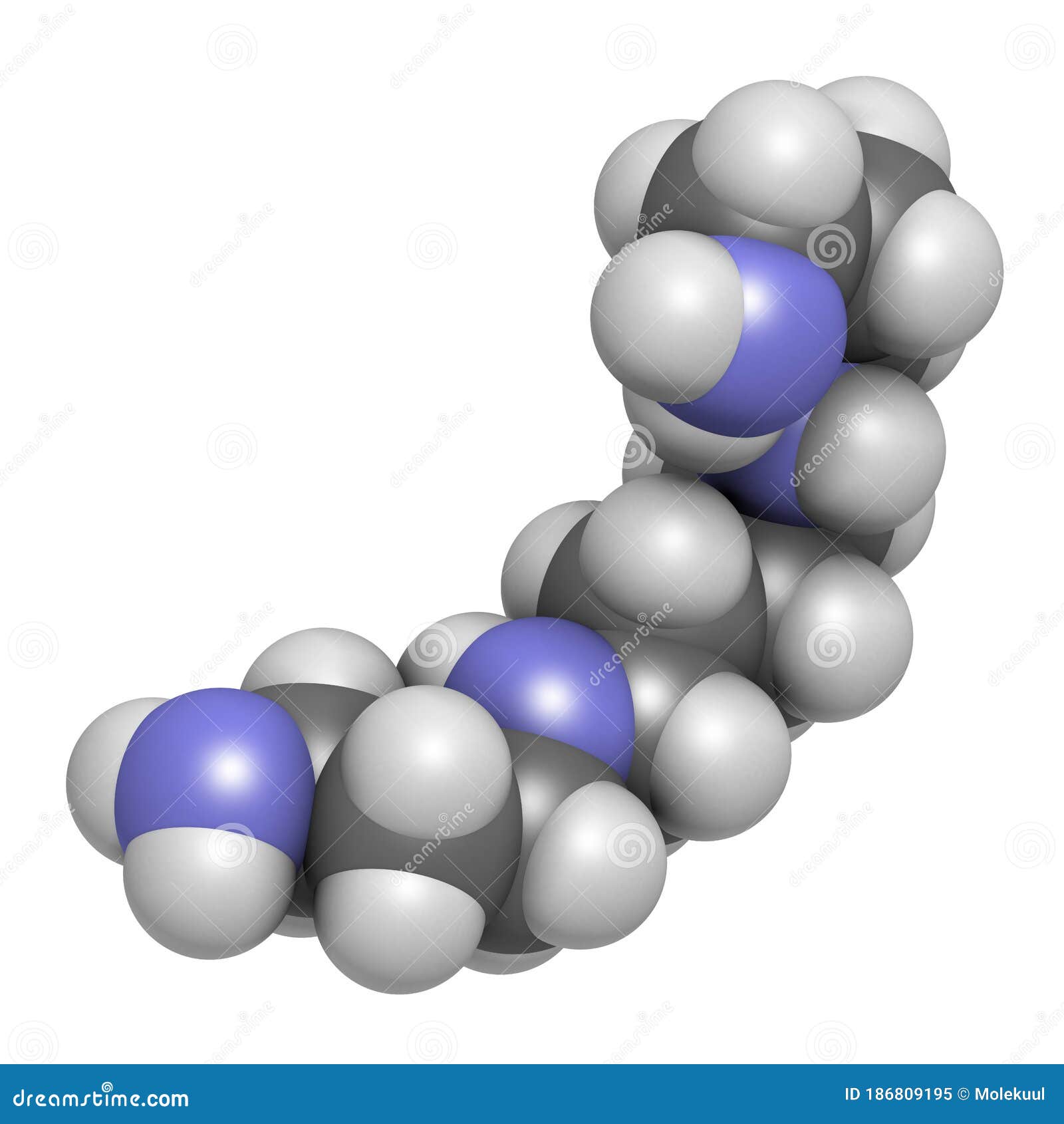 Spermine Molecular Structure, 3d Model Molecule, C10h26n4, Structural ...