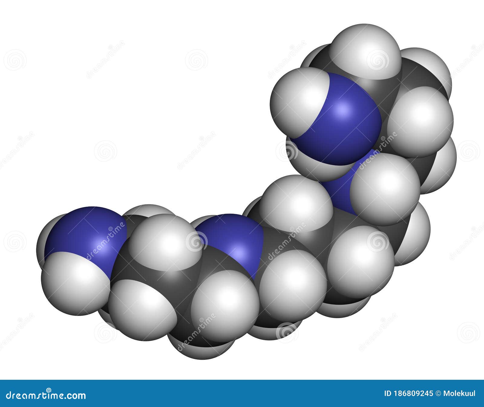 Spermine Molecule, Molecular Structures, C10h26n4, 3d Model, Structural ...