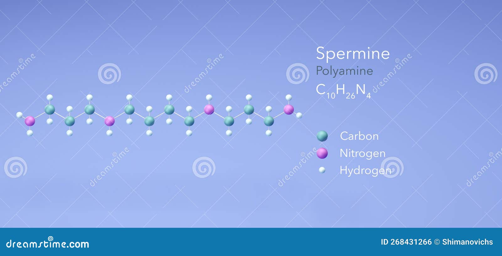 Spermine Molecular Structure, 3d Model Molecule, C10h26n4, Structural ...