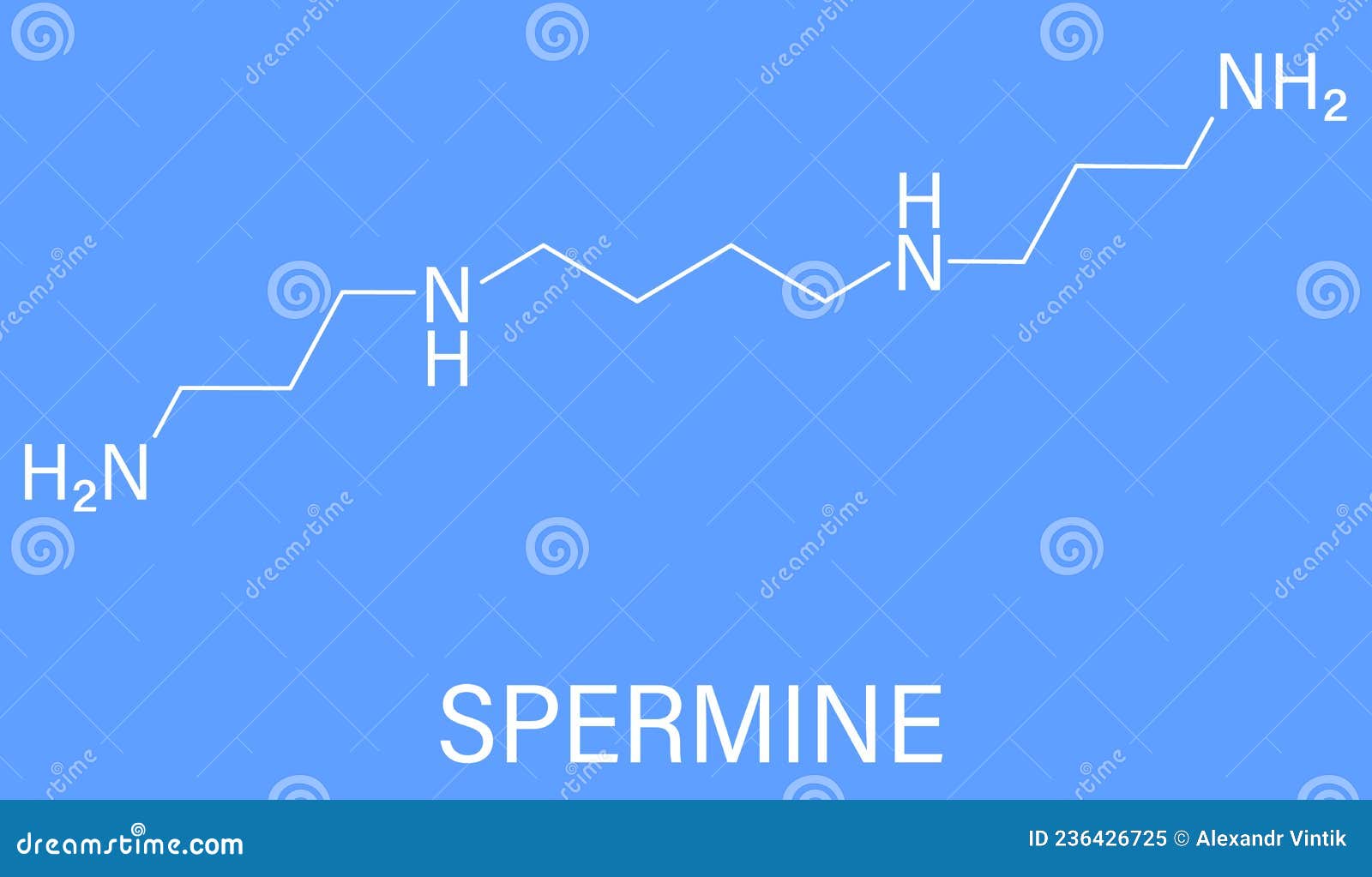 Spermine Molecular Structure, 3d Model Molecule, C10h26n4, Structural ...