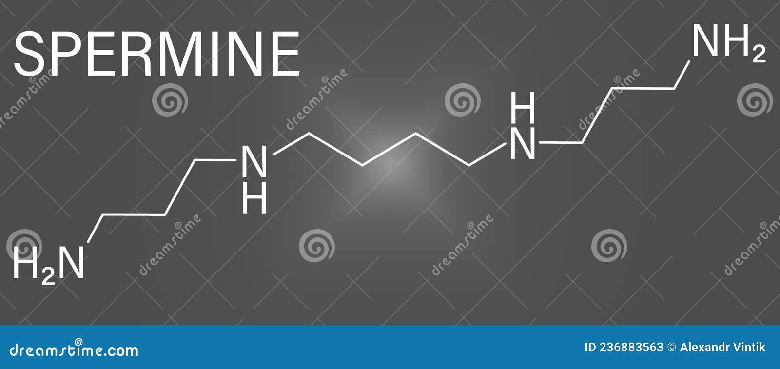Spermine Molecule, Molecular Structures, C10h26n4, 3d Model, Structural ...