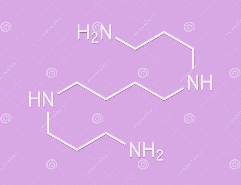 Spermine Molecule. Skeletal Formula Stock Illustration - Illustration ...
