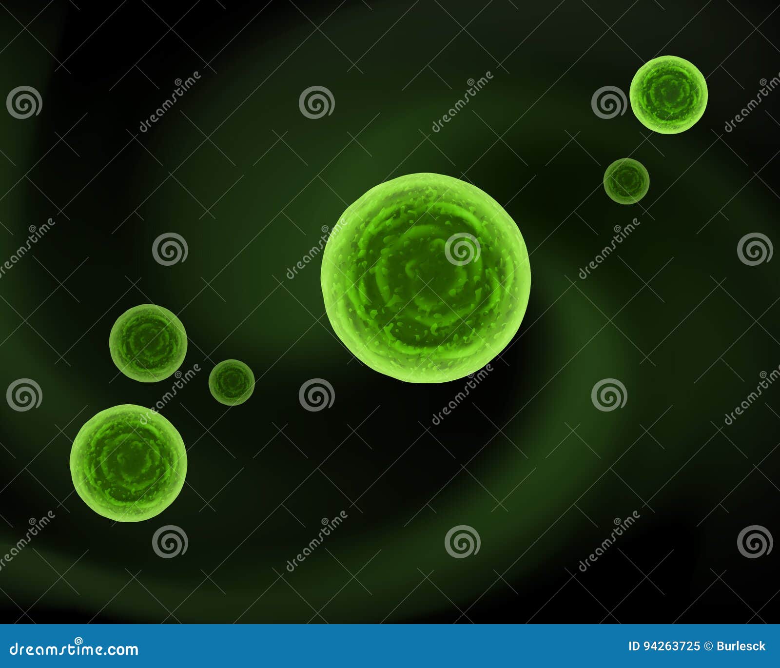 Sphere bacteria cells stock vector. Illustration of pathology - 94263725