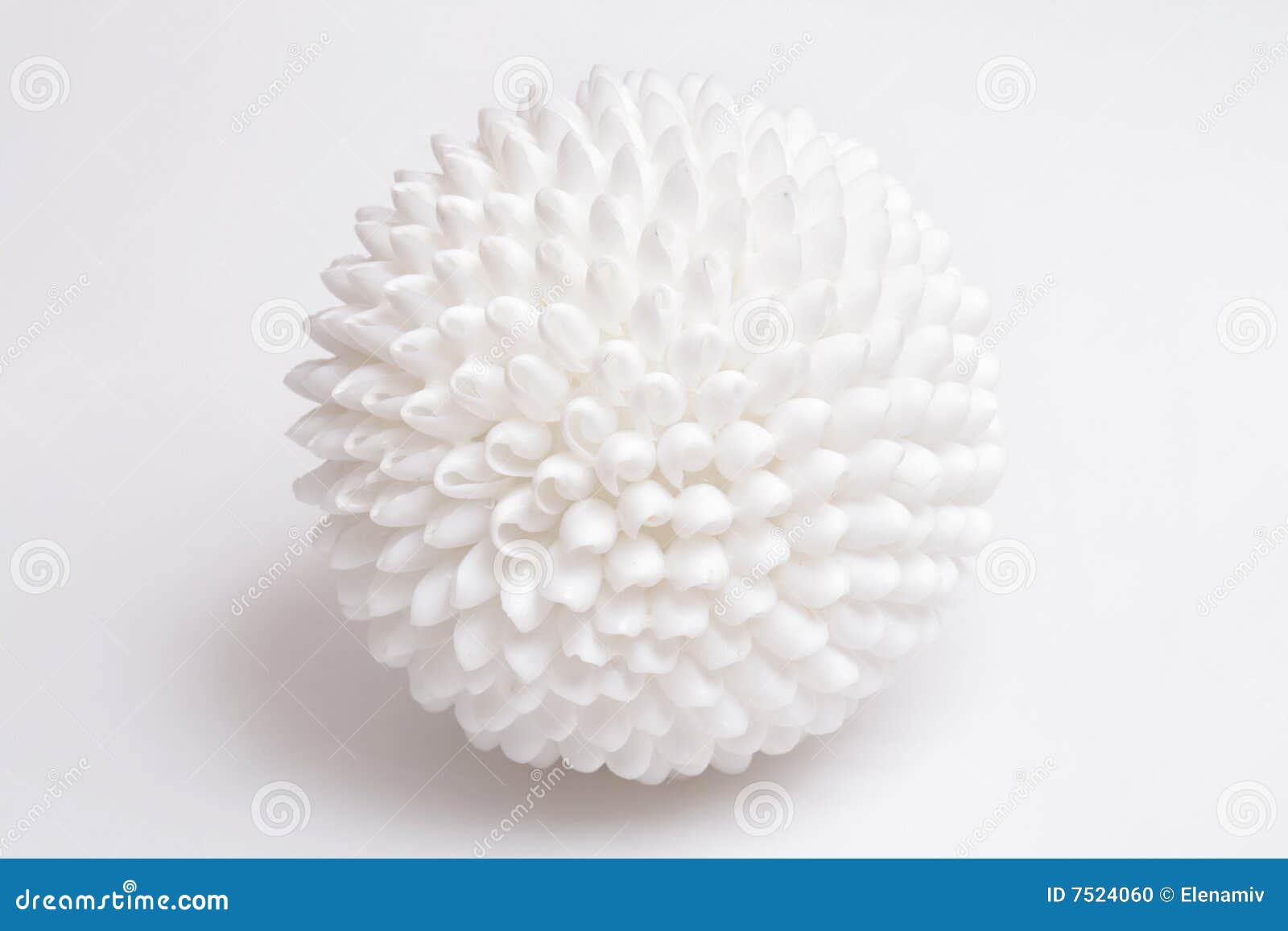 Sphere of seashells. stock photo. Image of copypace, house - 7524060