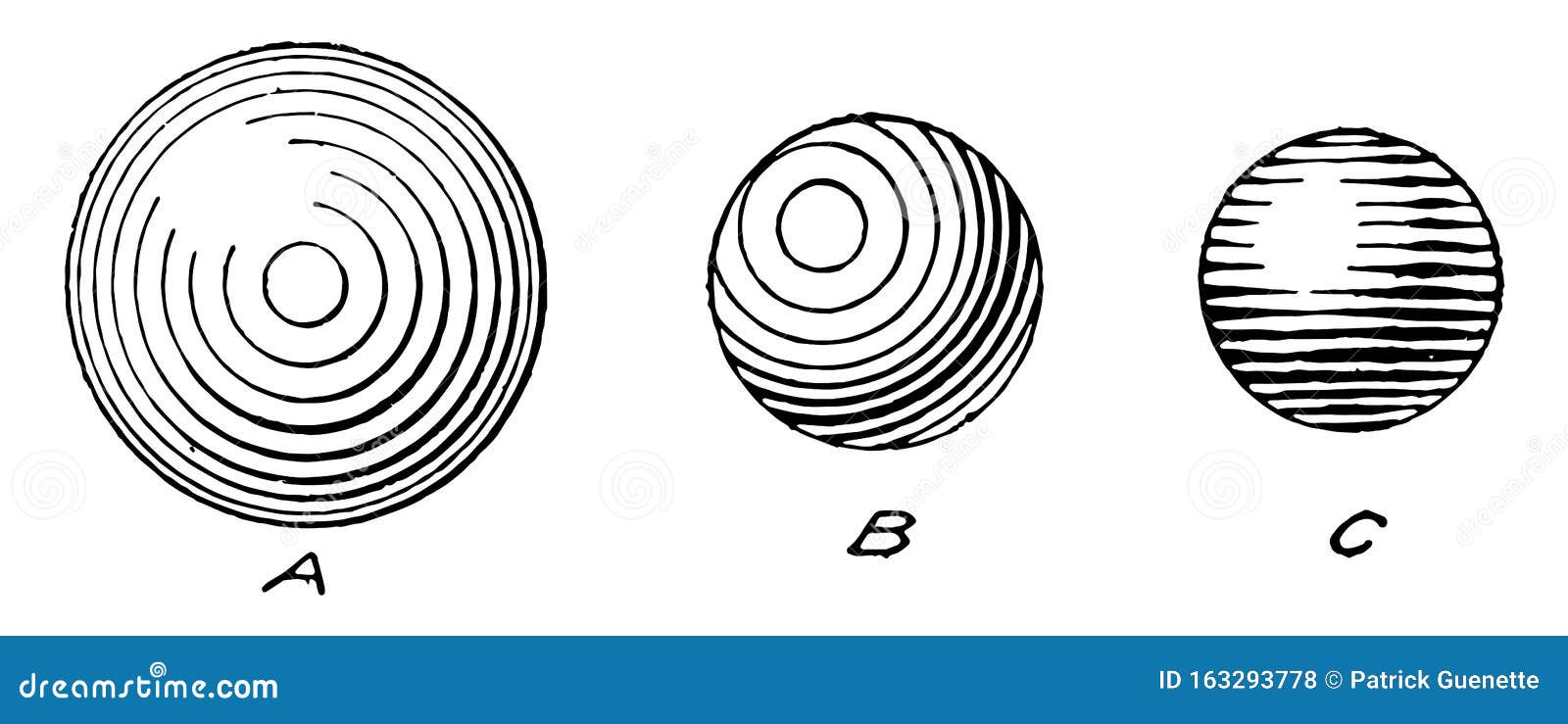Sphere Shading, Useful Skills for a Representational, Vintage Engraving ...