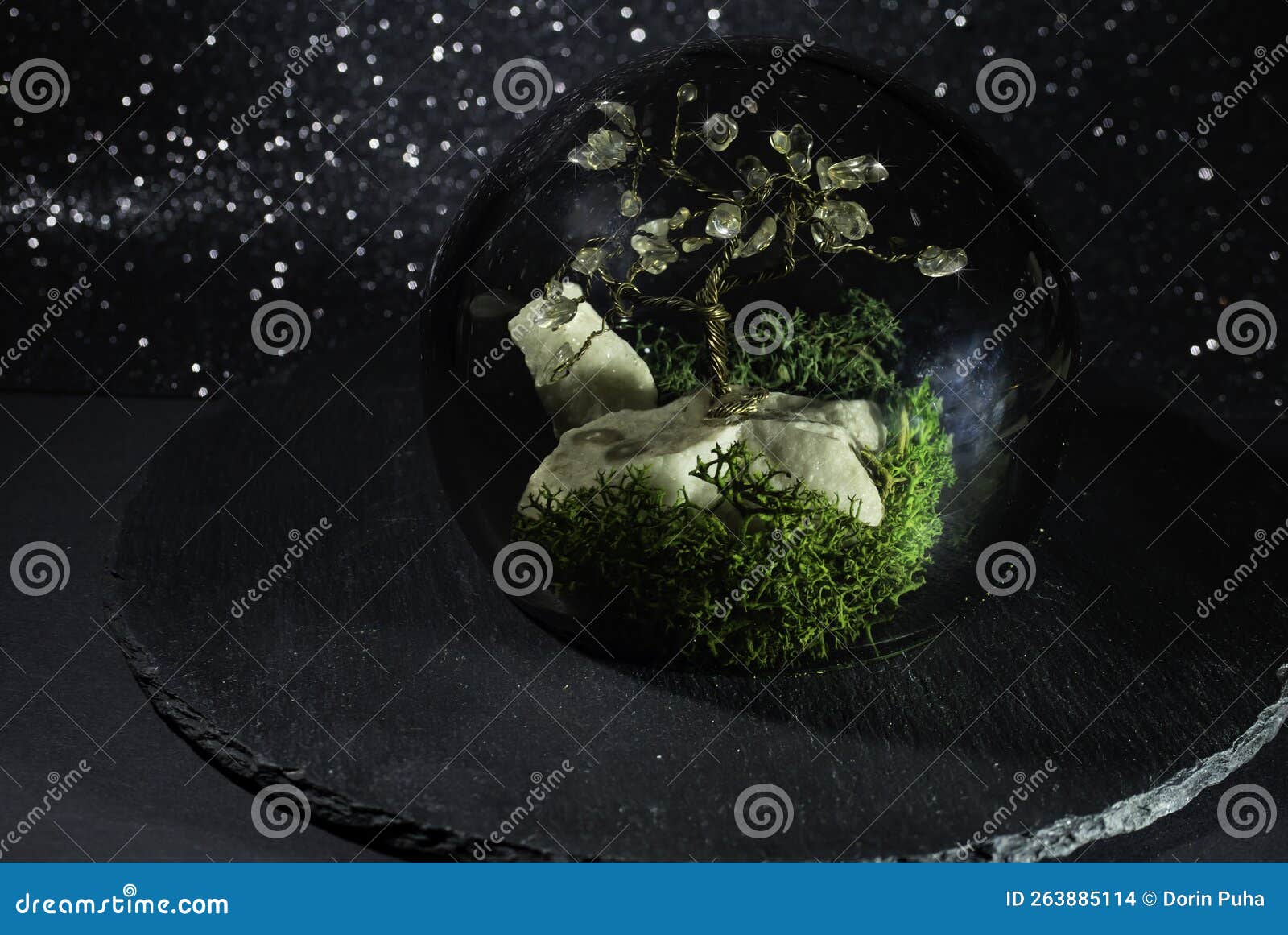 Sphere Terrarium with Moss and a Wire Tree Inside, on Dark Glittery ...