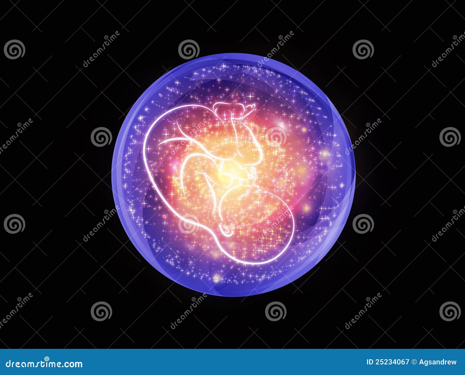 Spheres of the Fetus stock illustration. Illustration of embryo - 25234067