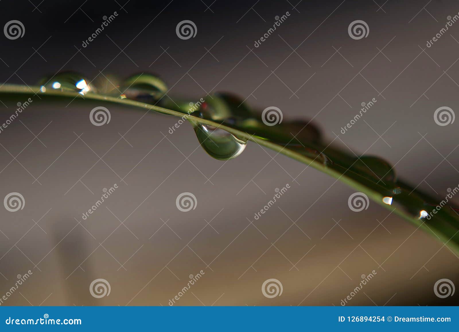 Spheres of rain centered stock photo. Image of colorfull - 126894254