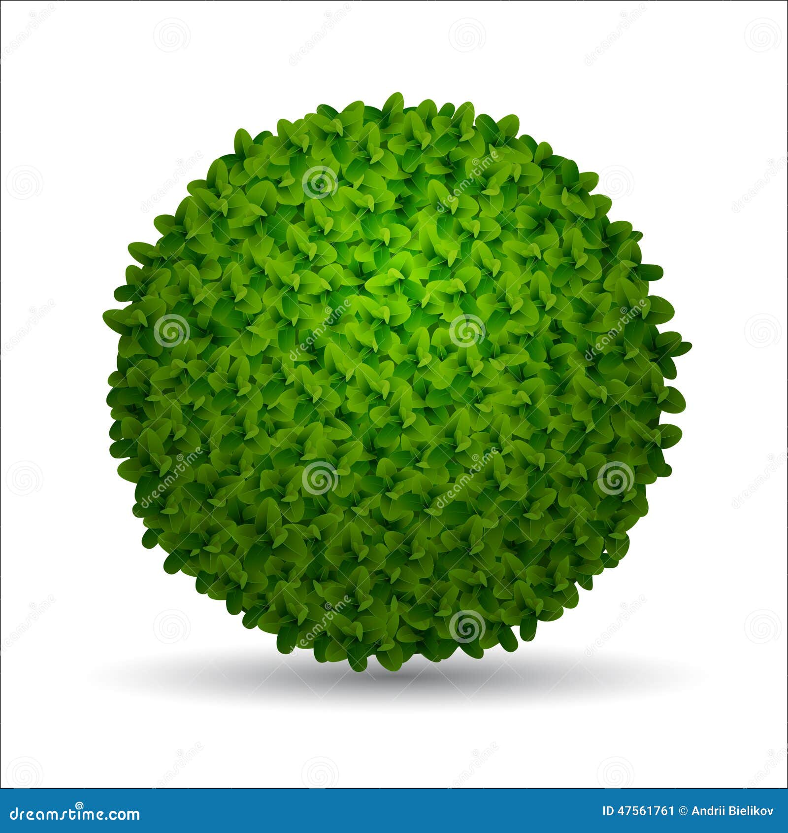 Spherical boxwood bush stock vector. Illustration of crown - 47561761
