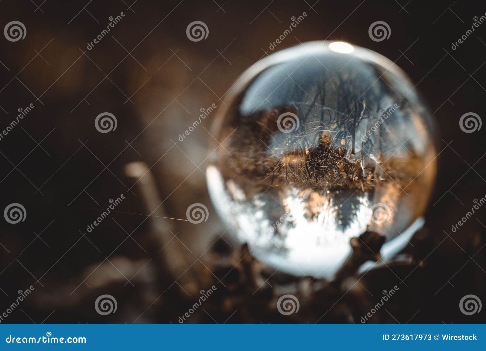 Spherical, Clear Crystal Sphere Reflecting the Surrounding Natural ...