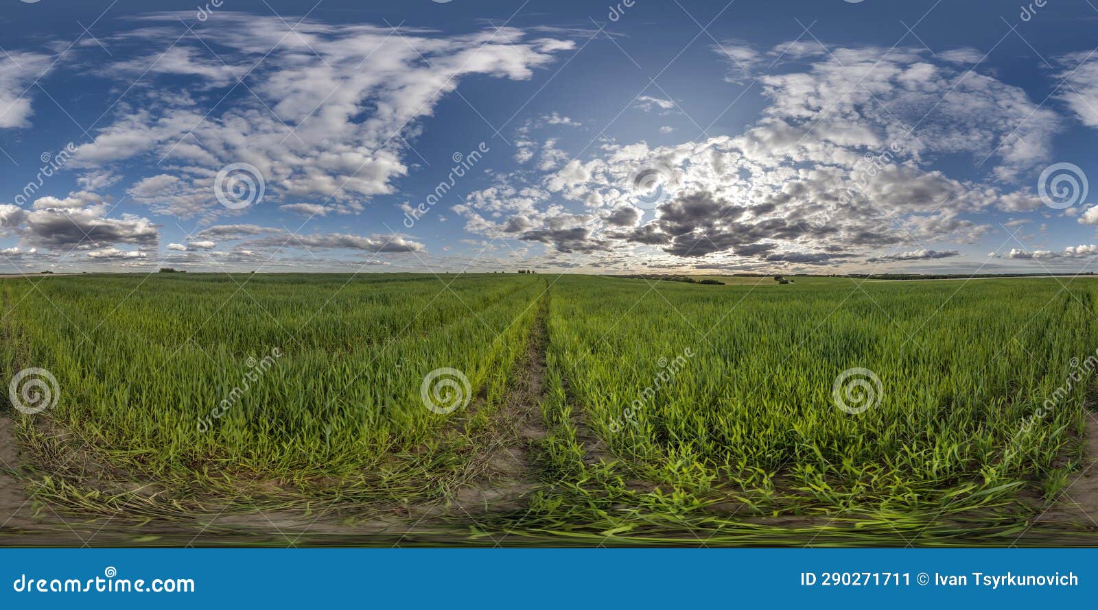 Spherical 360 Hdri Panorama among Green Grass Farming Field with Clouds ...