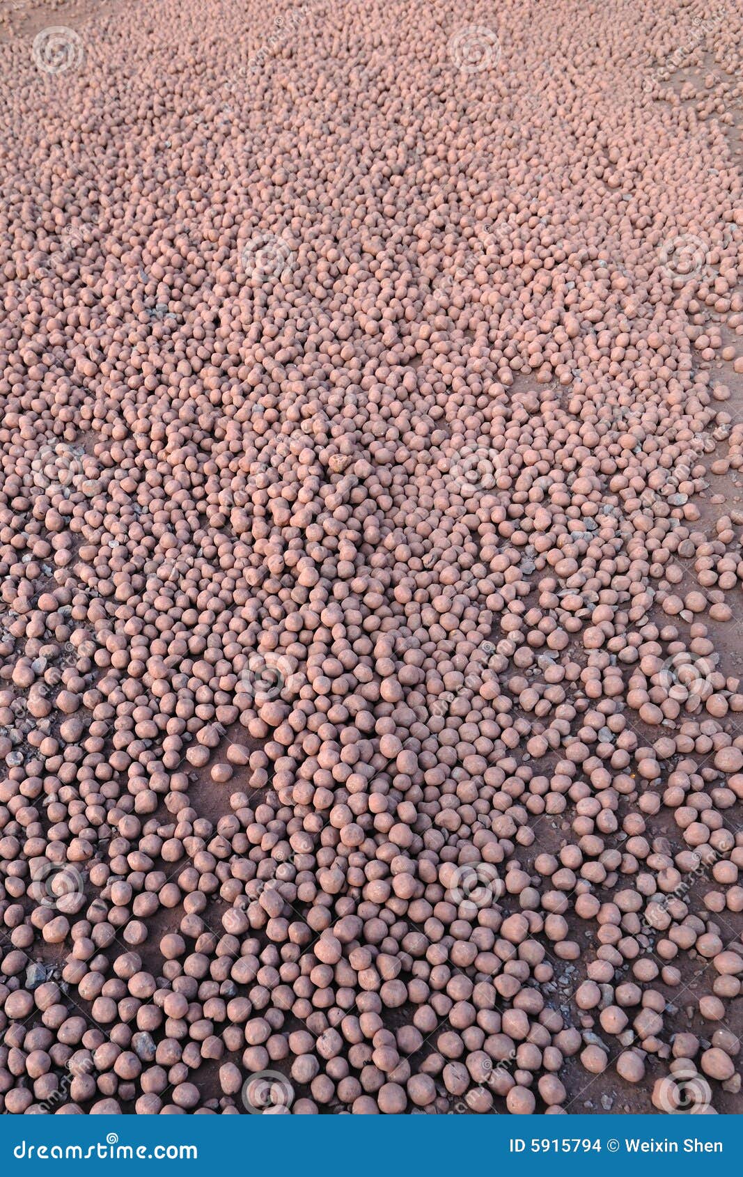 Spherical ironstone stock photo. Image of ironstone, spheric - 5915794