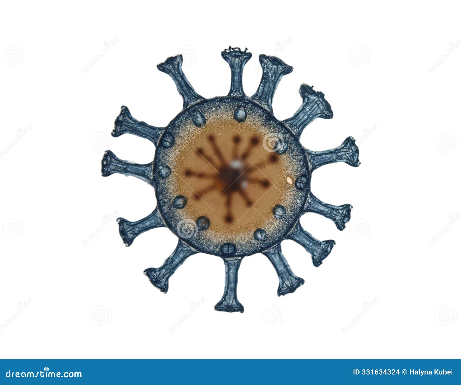 Spherical Spiral Virus on the Alpha Isolated Transparent Background ...