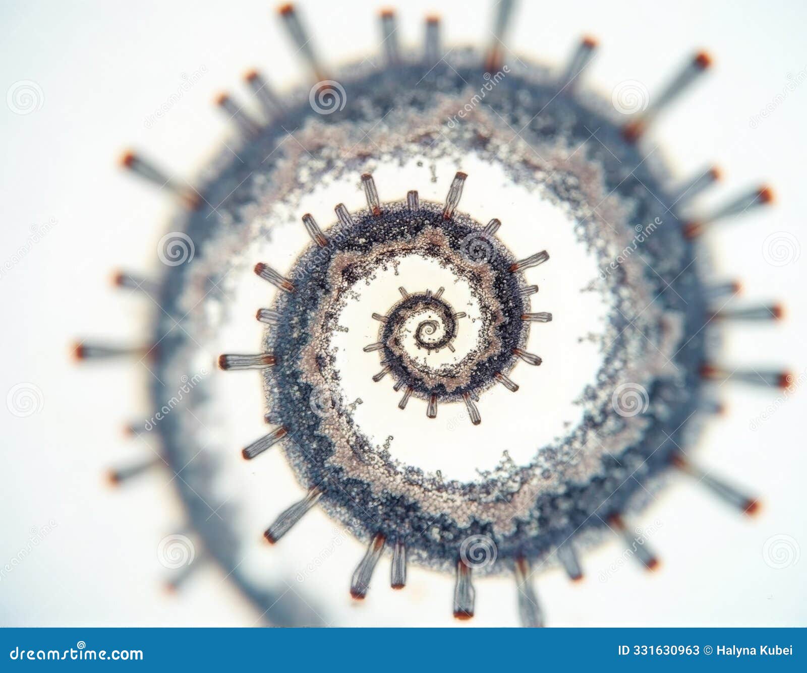Spherical Spiral Virus Bacteria on the Background Stock Illustration ...