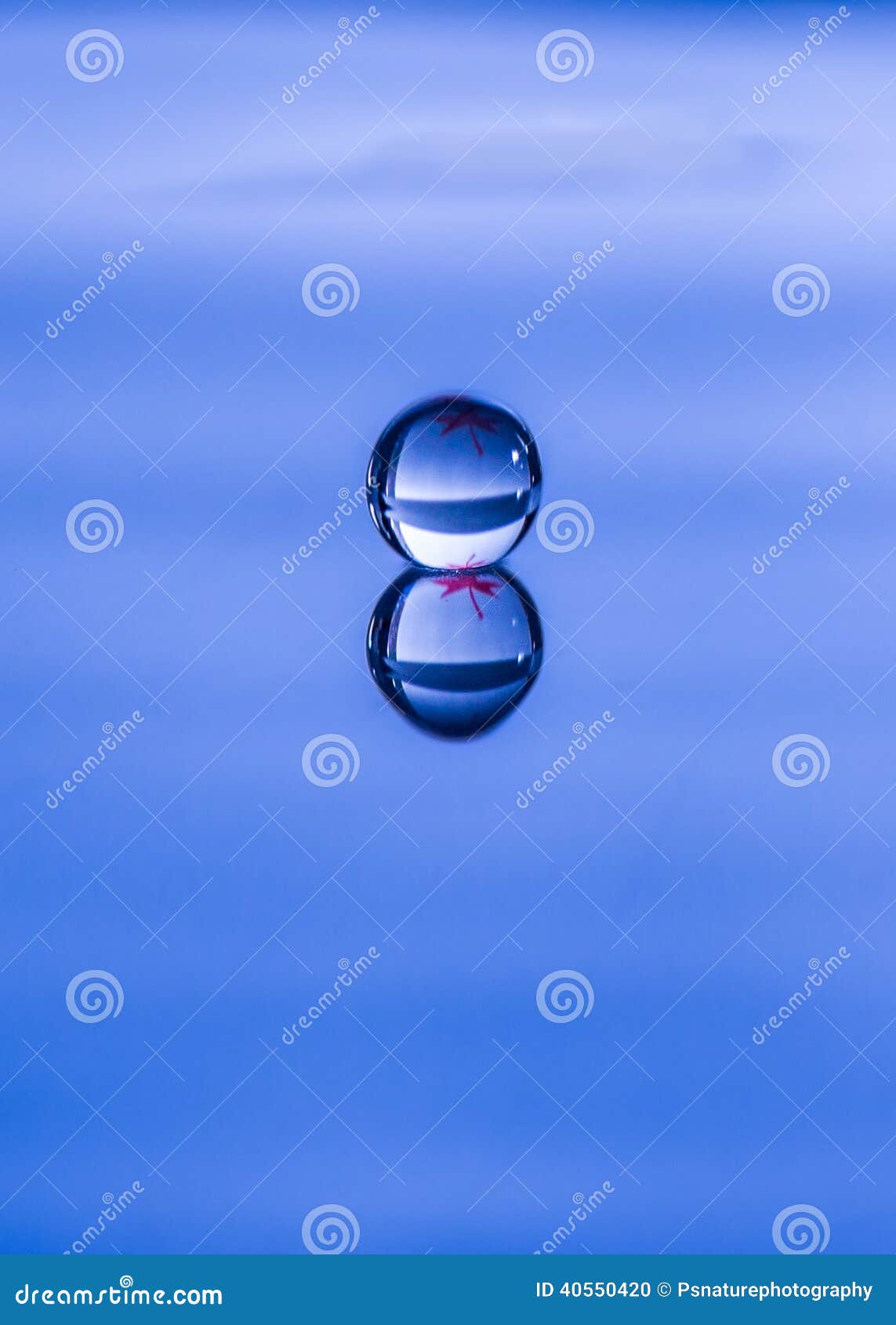 Spherical Water Droplet Reflected Stock Photo - Image of speed, smooth ...