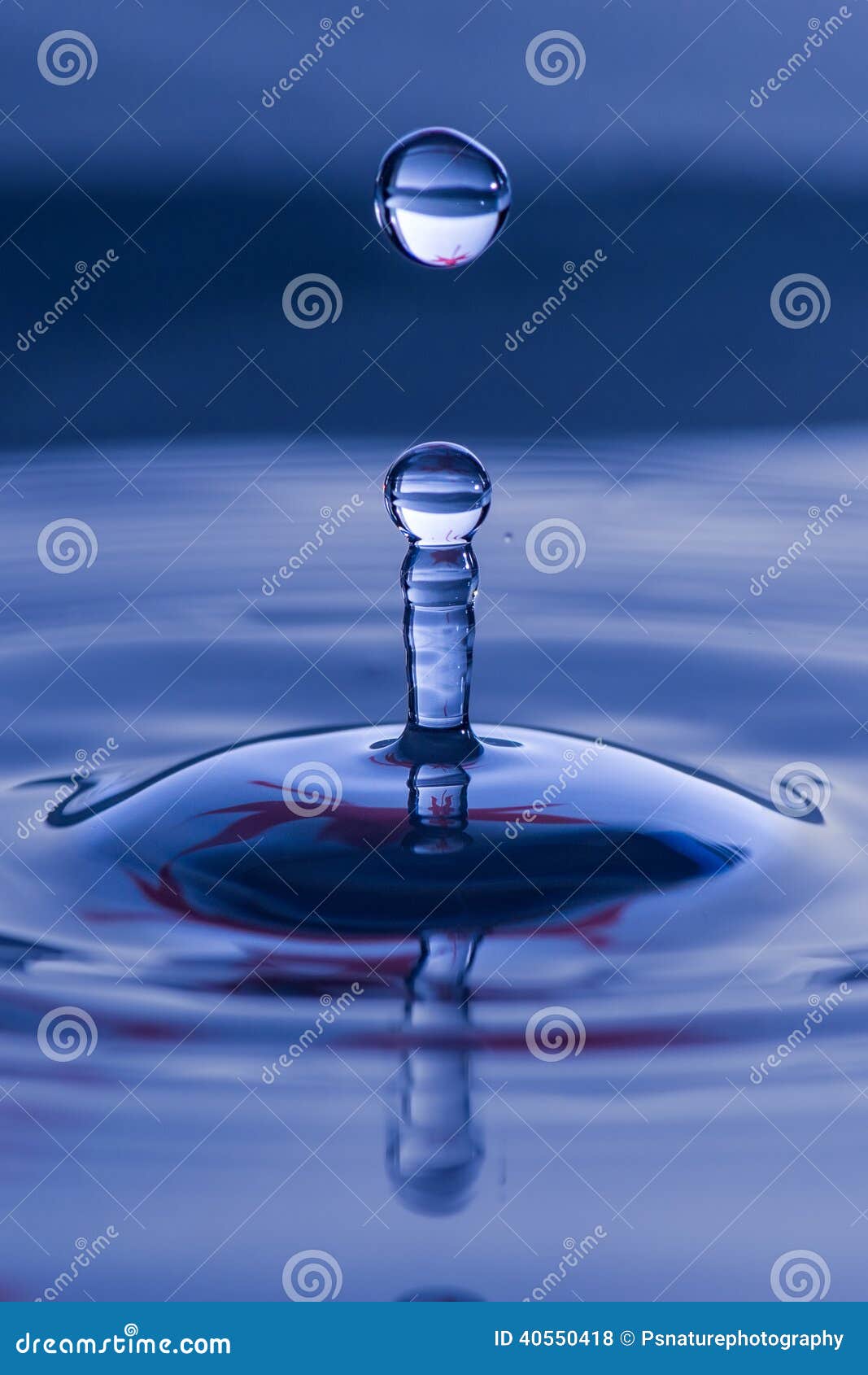 Spherical Water Droplet Royalty-Free Stock Photography | CartoonDealer ...