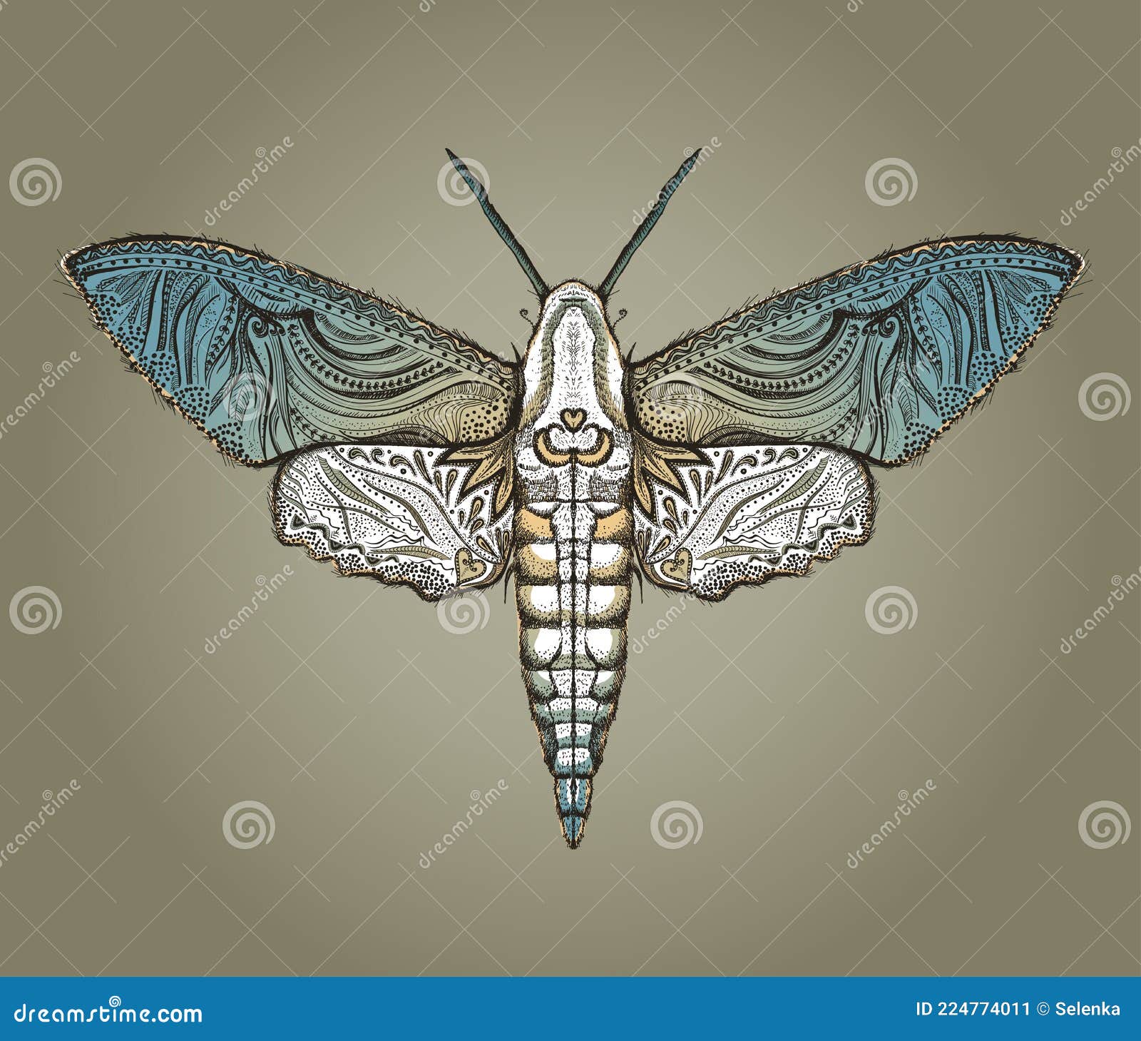 Sphingidae Cartoons, Illustrations & Vector Stock Images - 108 Pictures ...
