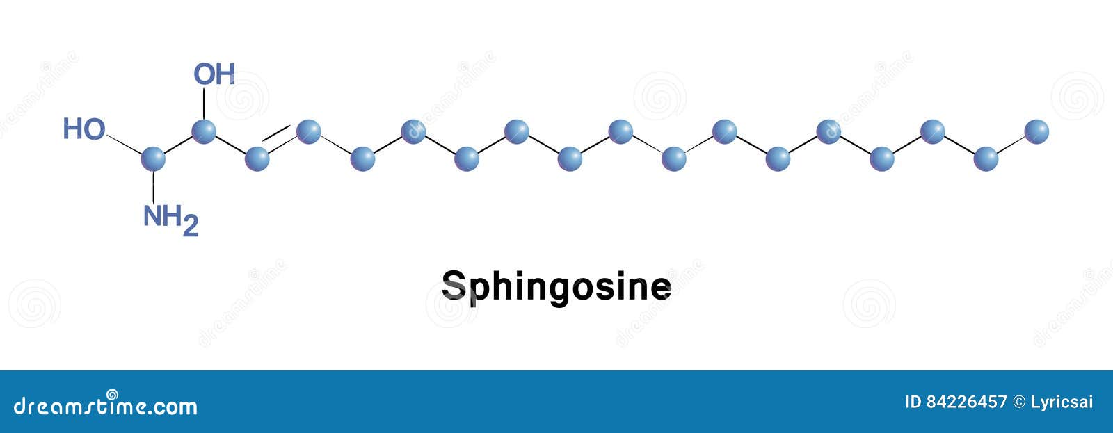 Sphingolipid Primario Della Parte Della Sfingosina Illustrazione ...