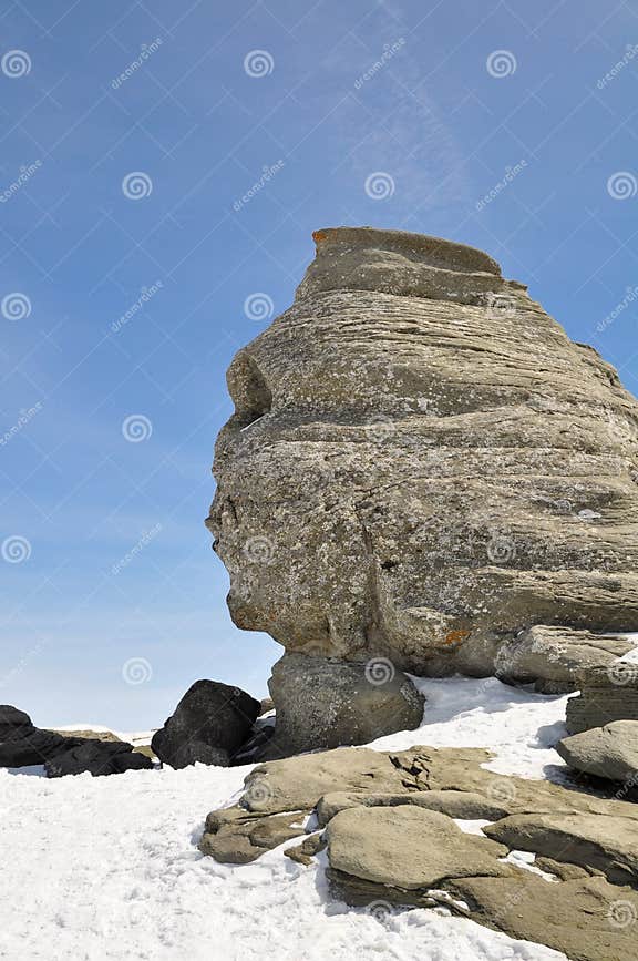 Sphinx stock image. Image of winter, snow, mountain, nature - 15483335