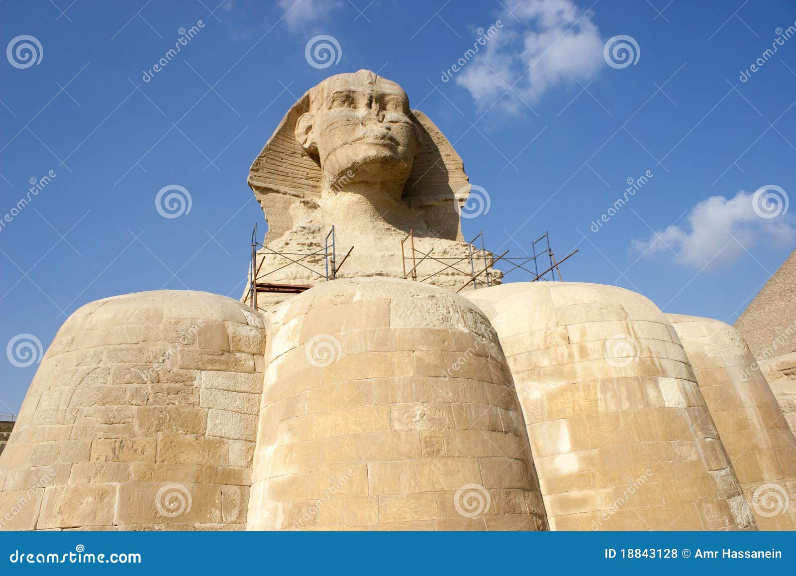 The Sphinx stock photo. Image of dead, copyspace, cemetery - 18843128