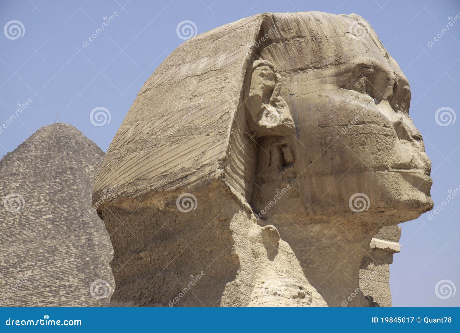 Sphinx stock image. Image of desert, architecture, guardian - 19845017