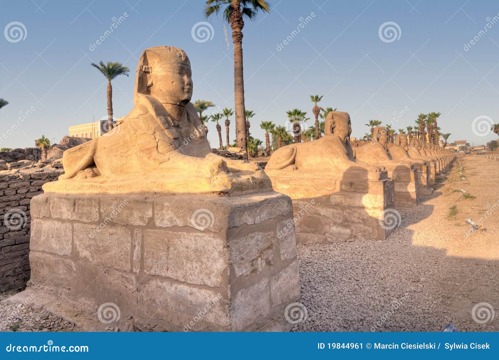 Sphinx Alley in Luxor Temple Stock Image - Image of archeology, travel ...