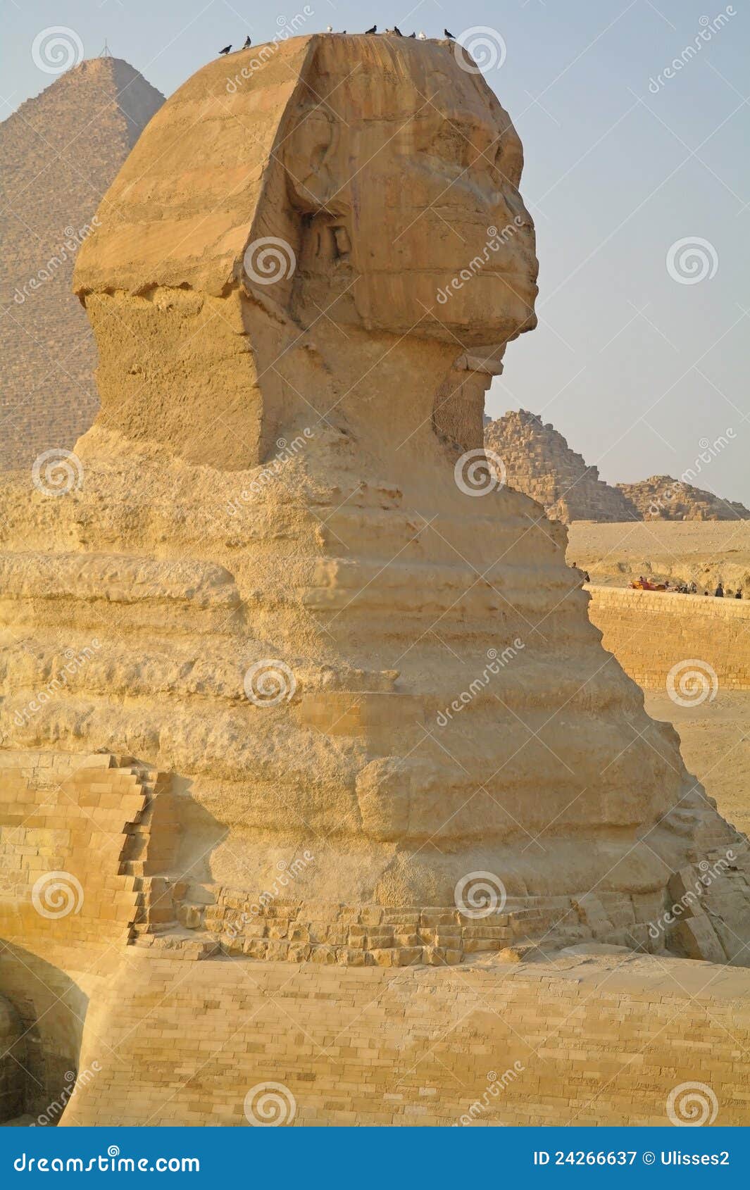 Majestic Sphinx Under Starry Night Sky With Full Moon And Ancient ...