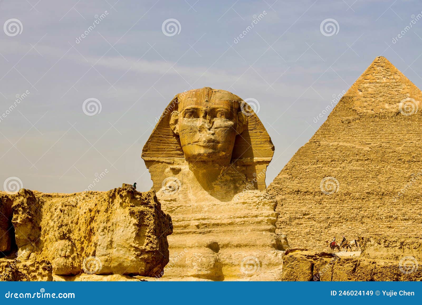 Sphinx Egypt Portrait. Portrait Of The Great Sphinx Of Egypt Close ...