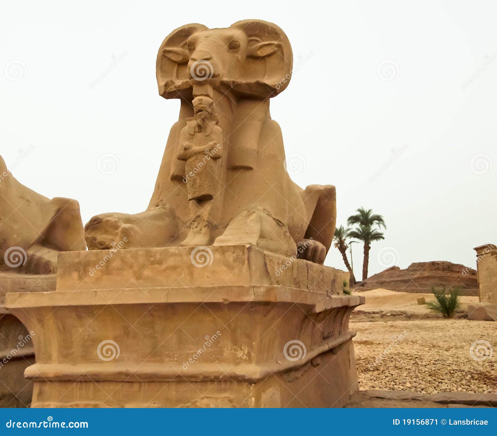 Sphinx in Karnak temple stock image. Image of pharaohs - 19156871