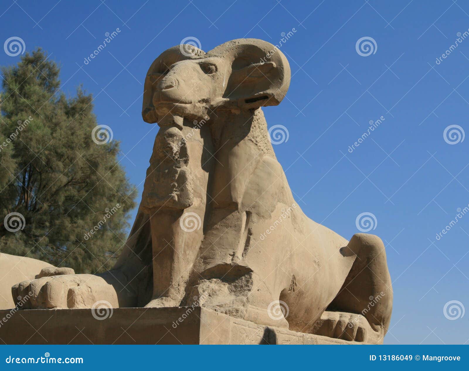 Sphinx at Luxor Temple, Egypt Stock Image - Image of architecture ...
