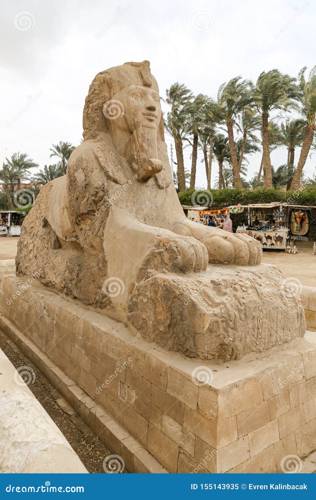 Sphinx in Memphis, Cairo, Egypt Stock Image - Image of sculpt, travel ...
