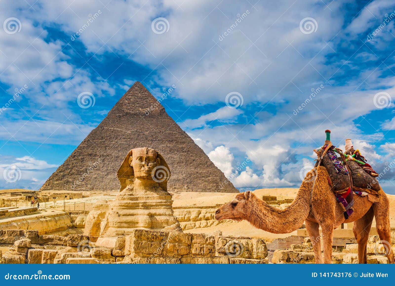Sphinx Camels Pyramids
