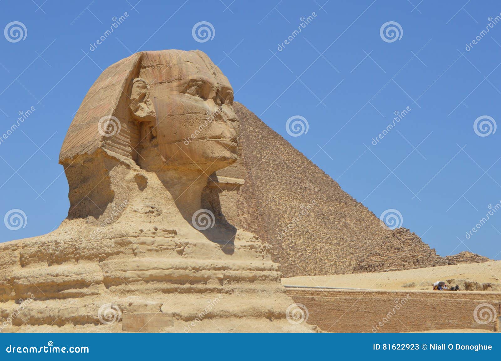 The Sphinx Stands Proud in Front of the Great Pyramid, Cairo, Egypt ...