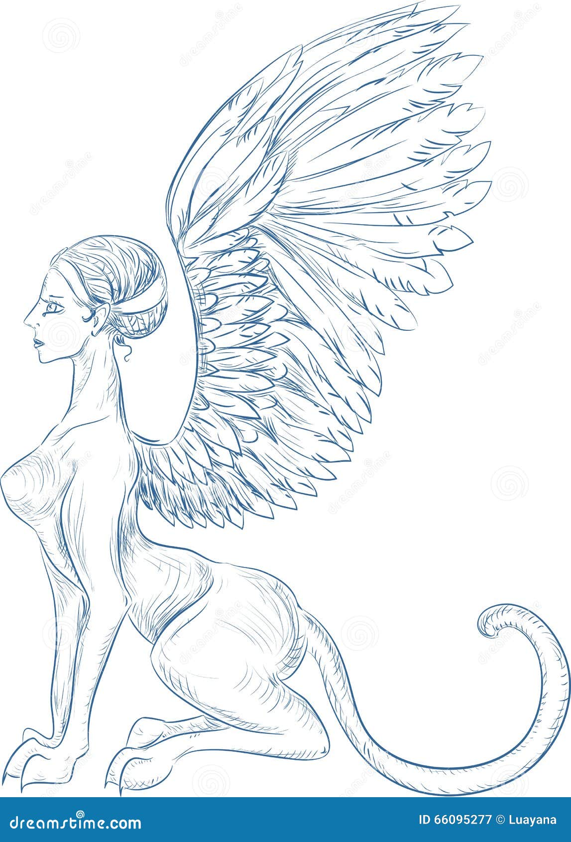 Sphinx stock vector. Illustration of wing, graphic, mythological - 66095277
