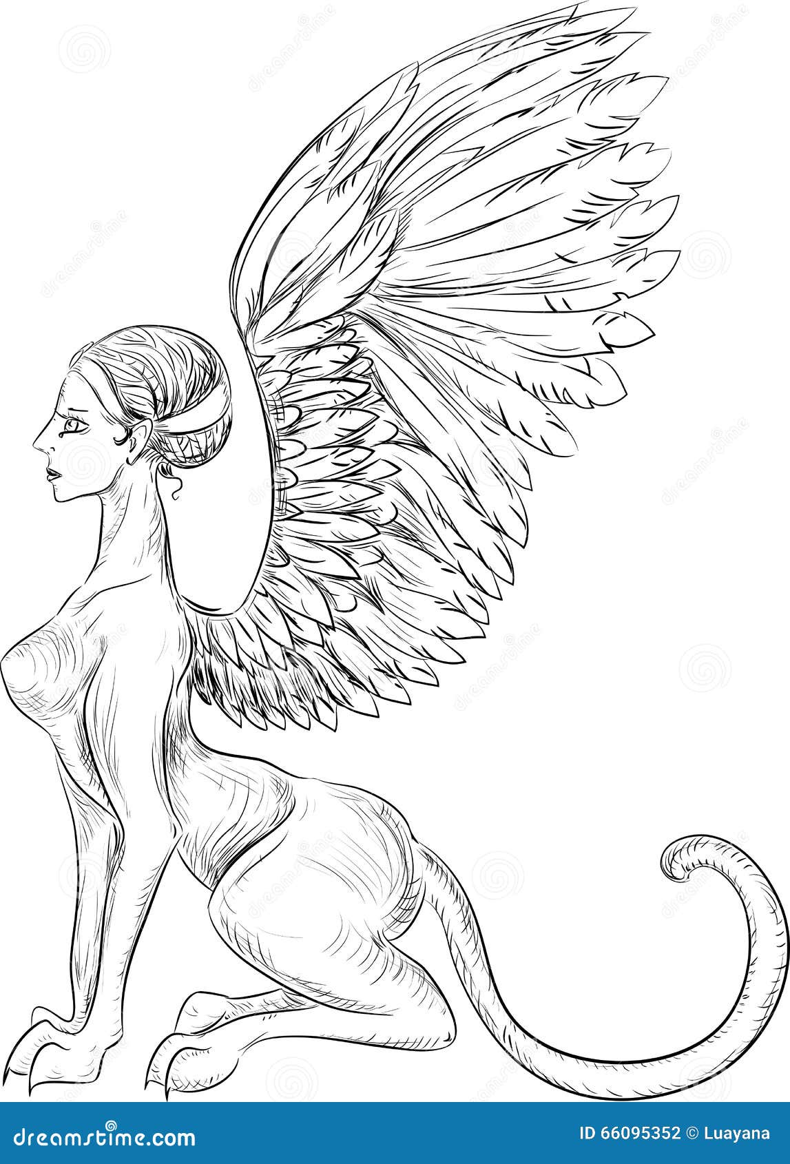 Sphinx, The Mystery Mythical Creatures From Middle Ages And Medieval ...