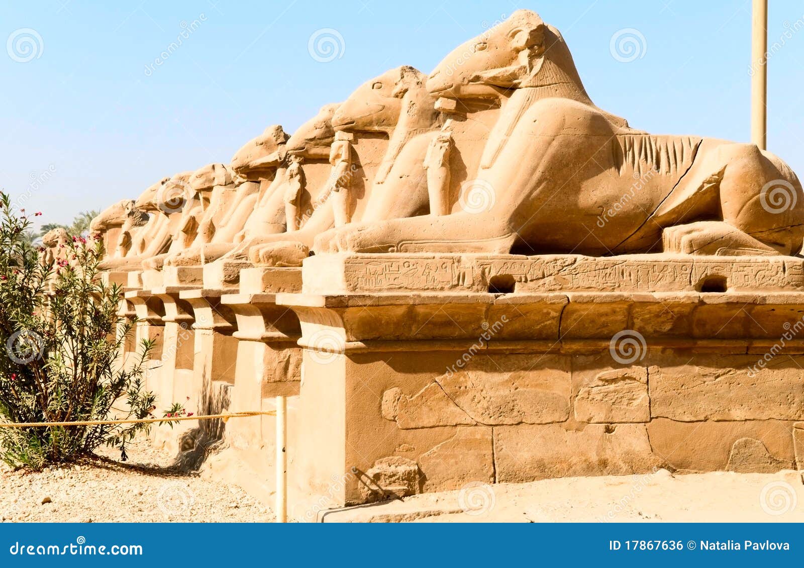 Sphinxes stock photo. Image of museum, ruins, hieroglyph - 17867636