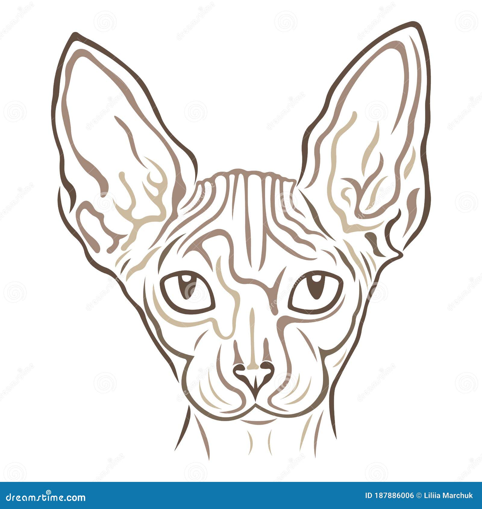Sphynx Cat Brown Muzzle Drawn by Different Lines. Design Suitable for ...