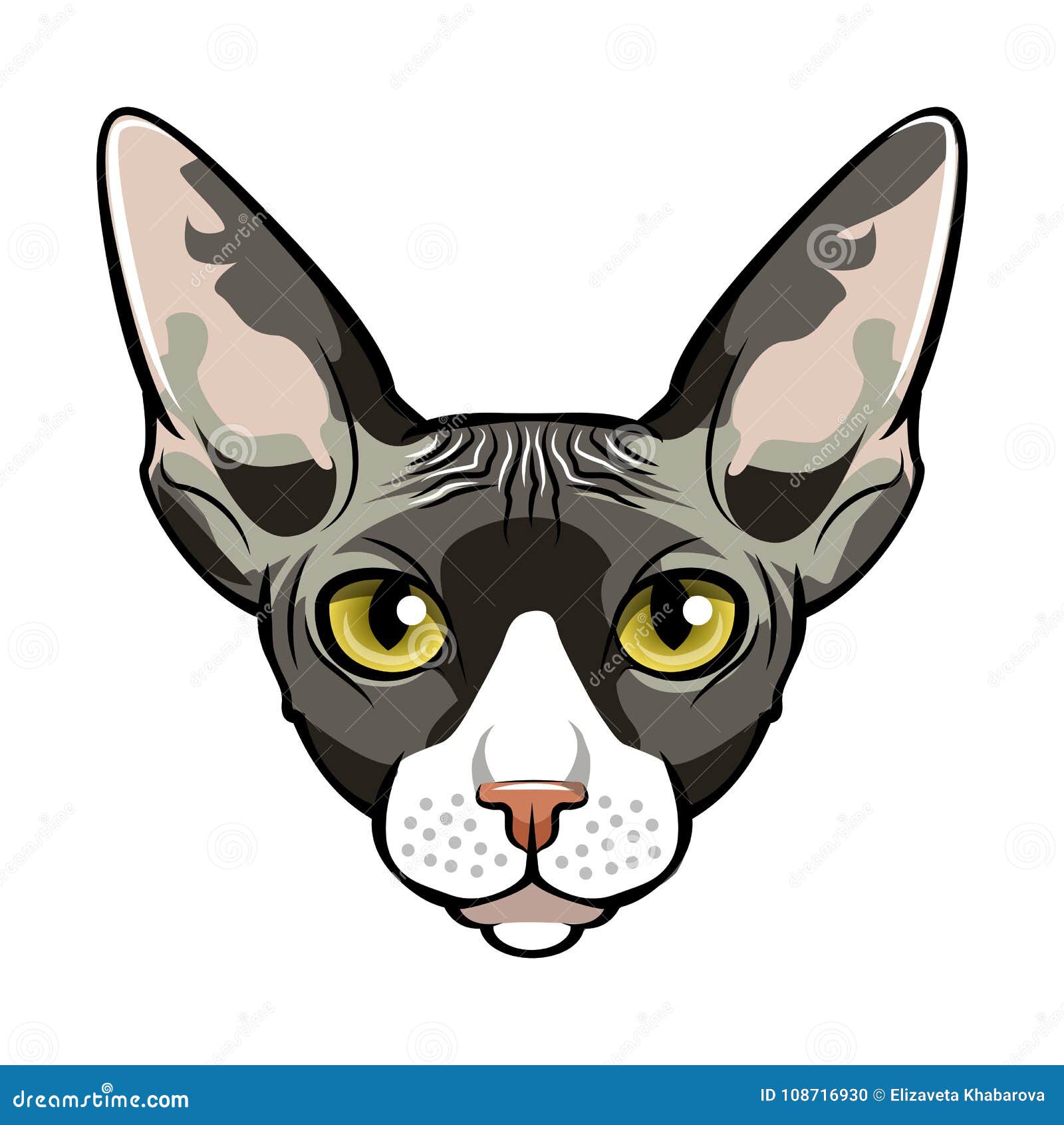 Sphynx Cat Face